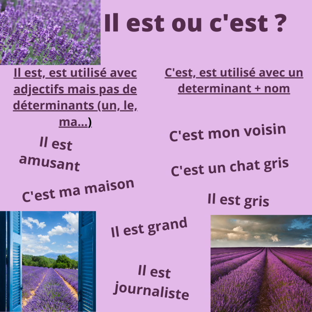 C’EST OU IL EST ? - French at home